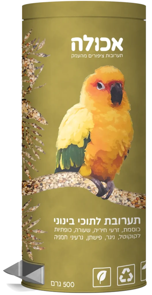 ראשי - Forte - סטודיו לעיצוב ומיתוג
